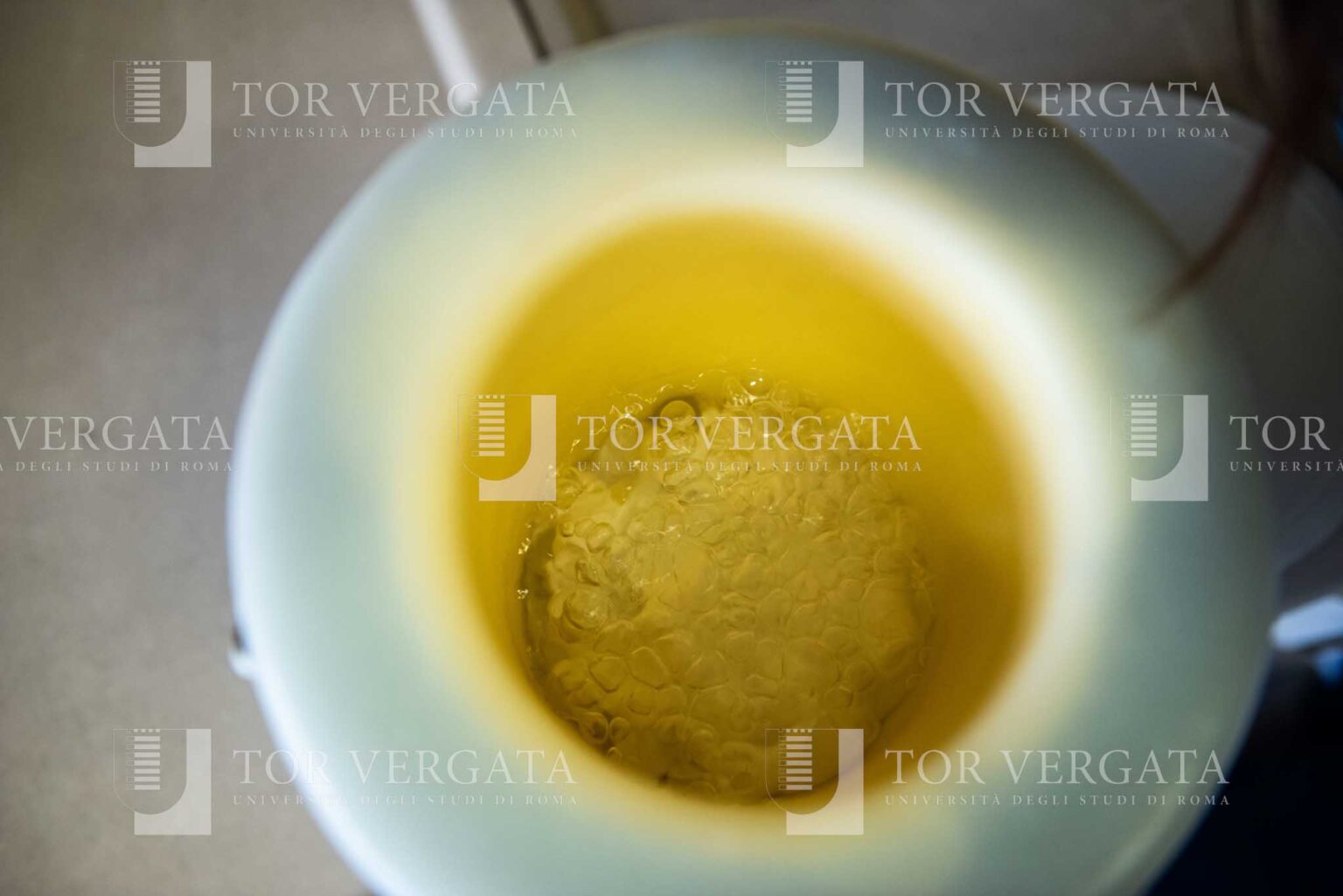 Bando Erasmus – Macroarea di Scienze MM.FF.NN.