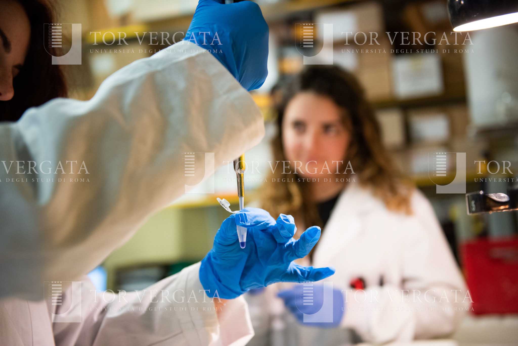 Macroarea di Scienze MM.FF.NN. – Università degli Studi di Roma Tor Vergata